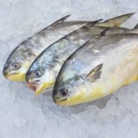 Seafood Wholesale Products - Fresh & Frozen Seafood - NJ & NYC