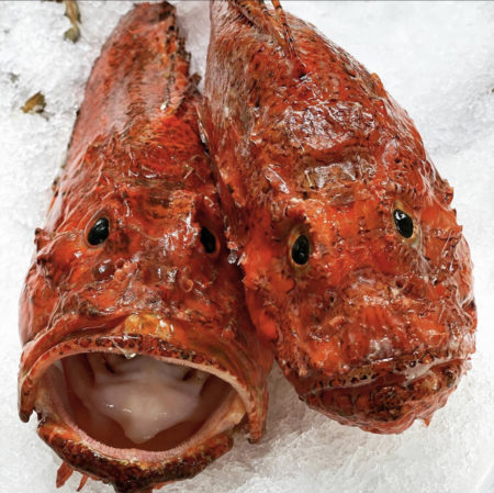 Seafood Wholesale Products - Fresh & Frozen Seafood - NJ & NYC