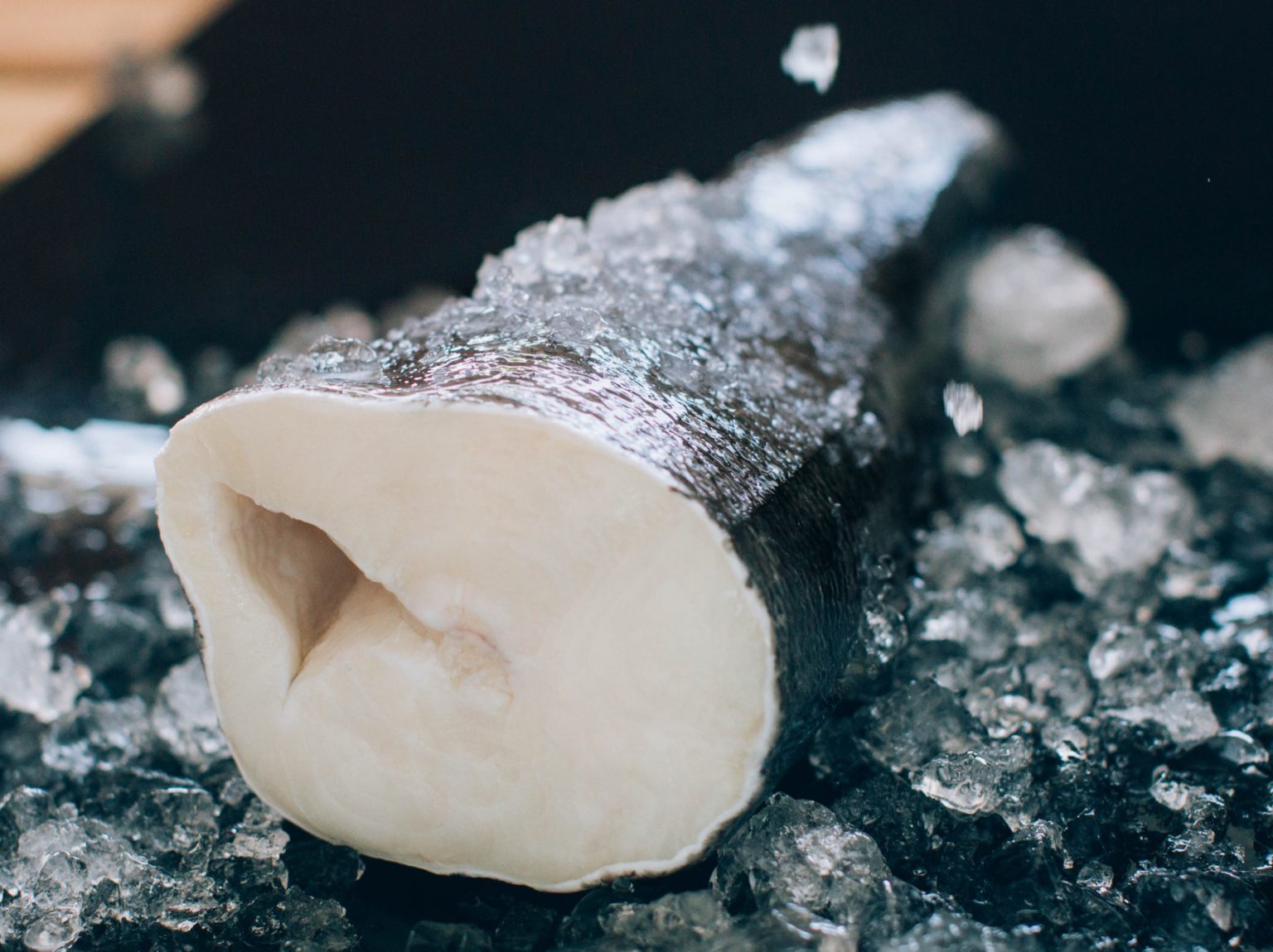 Seafood Wholesale Products - Fresh & Frozen Seafood - NJ & NYC